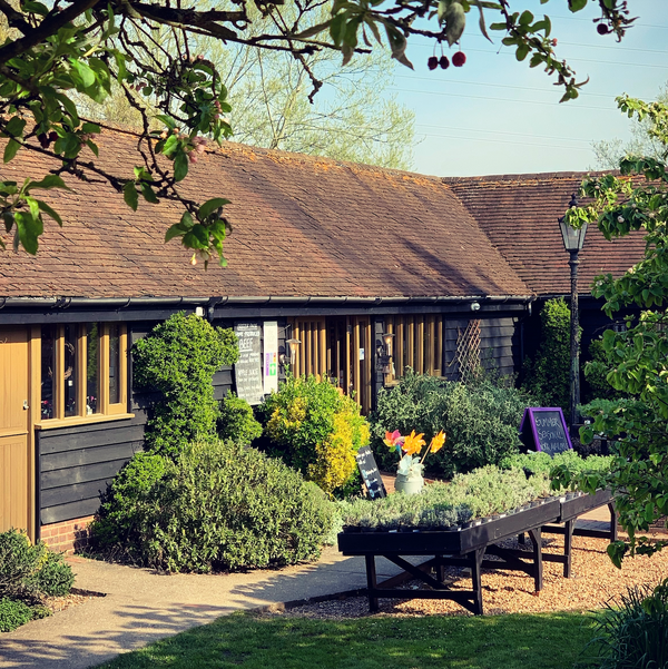 This Spring at Castle Farm - Castle Farm Shop