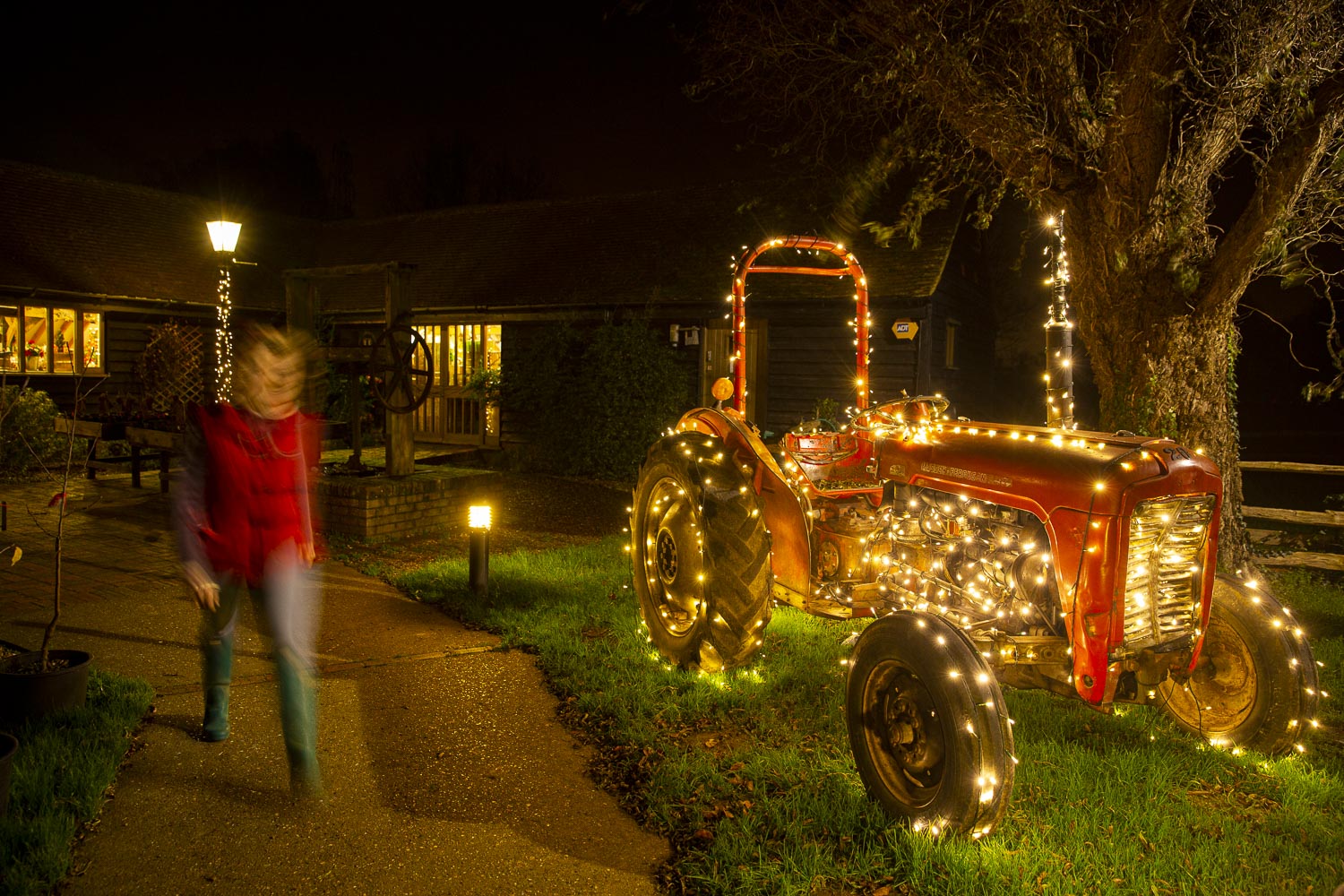 Castle Farm Gallery - Lavender Fields - Castle Farm Shop