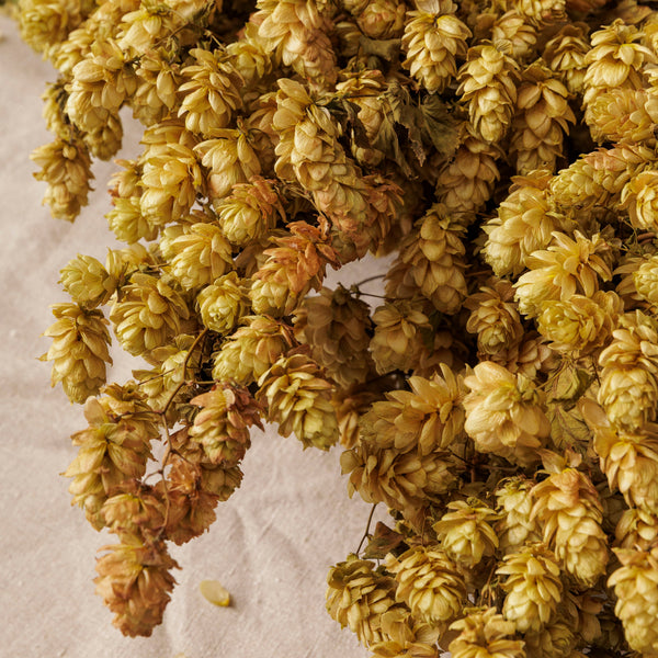 Hops, Hop Plants & Hops Products for UK Delivery - Castle Farm Shop