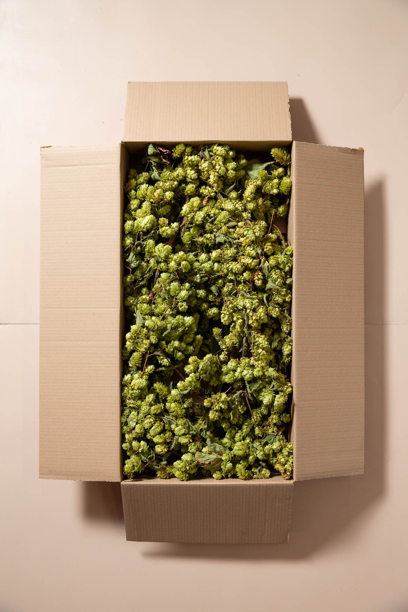 Hops, Hop Plants & Hops Products for UK Delivery - Castle Farm Shop