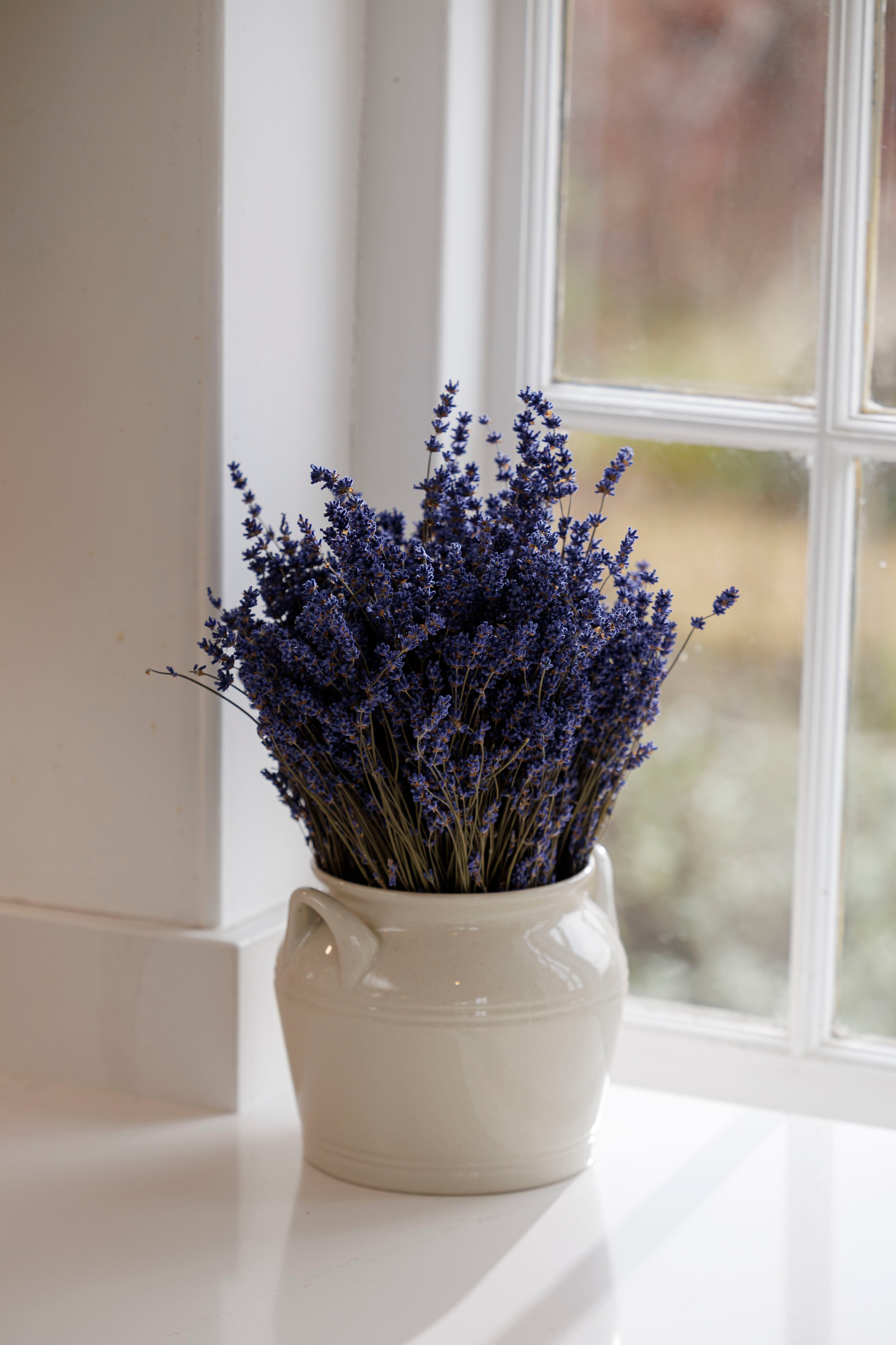 DRIED LAVENDER BUNCH - Castle Farm Shop