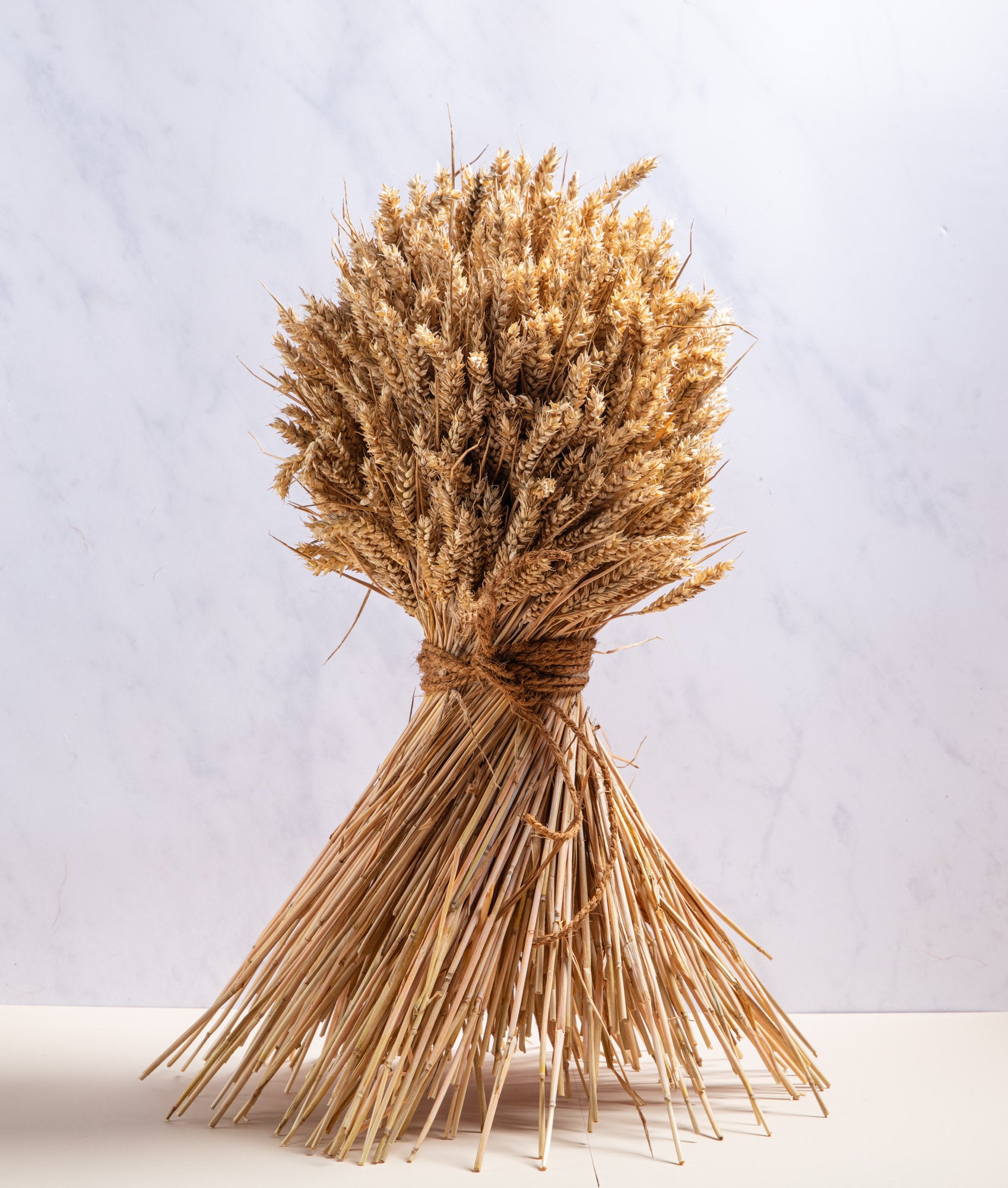 This season at castle farm - Castle Farm Shop