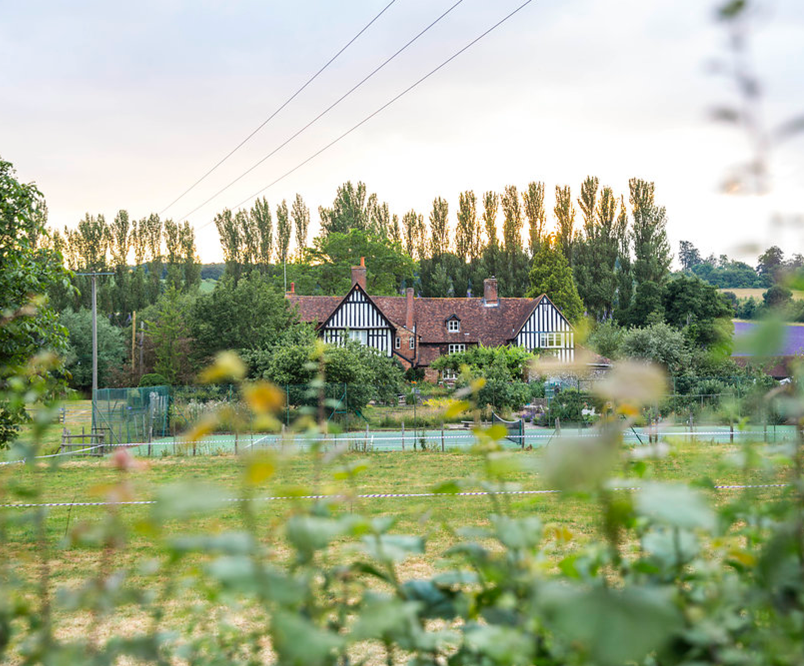 This season at castle farm - Castle Farm Shop