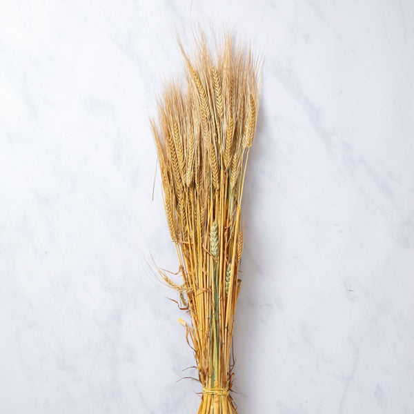 GOLD BARLEY BUNCH - Castle Farm Shop