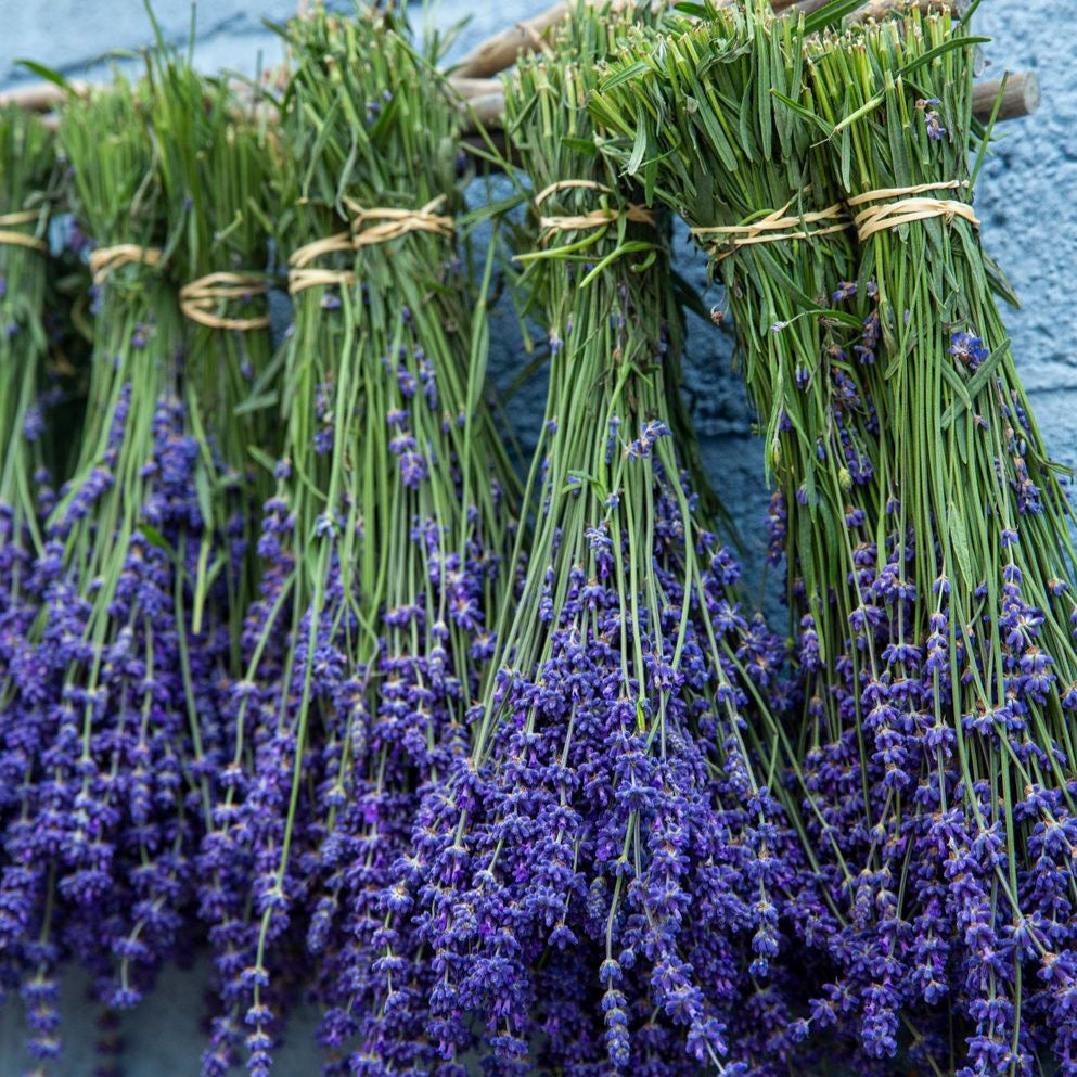 Fresh Lavender Bunches & Plants - Castle Farm Shop