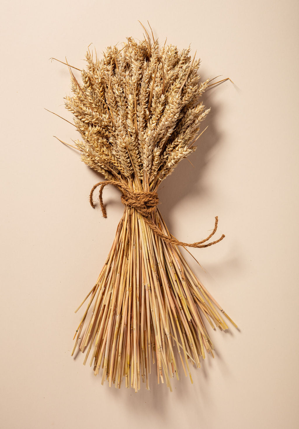 WHEAT SHEAF - NATURAL GOLDEN - Castle Farm Shop