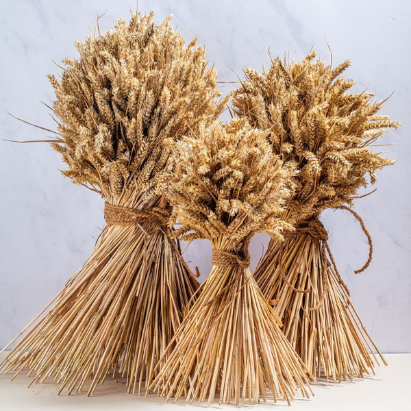 Stooks & Sheaves - Dried Flowers - Castle Farm Shop Tagged "Wheat"