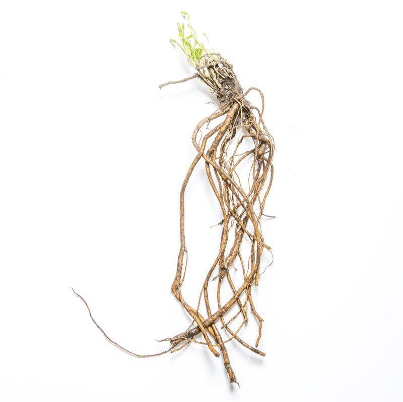 Hops, Hop Plants & Hops Products for UK Delivery - Castle Farm Shop